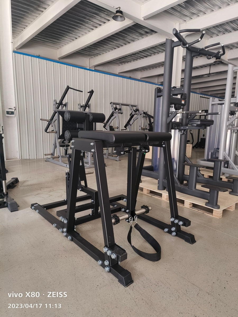 GLUTE & REVERSE HYPER EXTENSION BENCH – Goody's Supplements